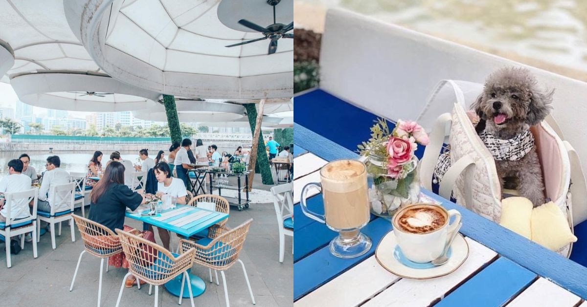 Pet-Friendly Cafés and Restaurants In Singapore